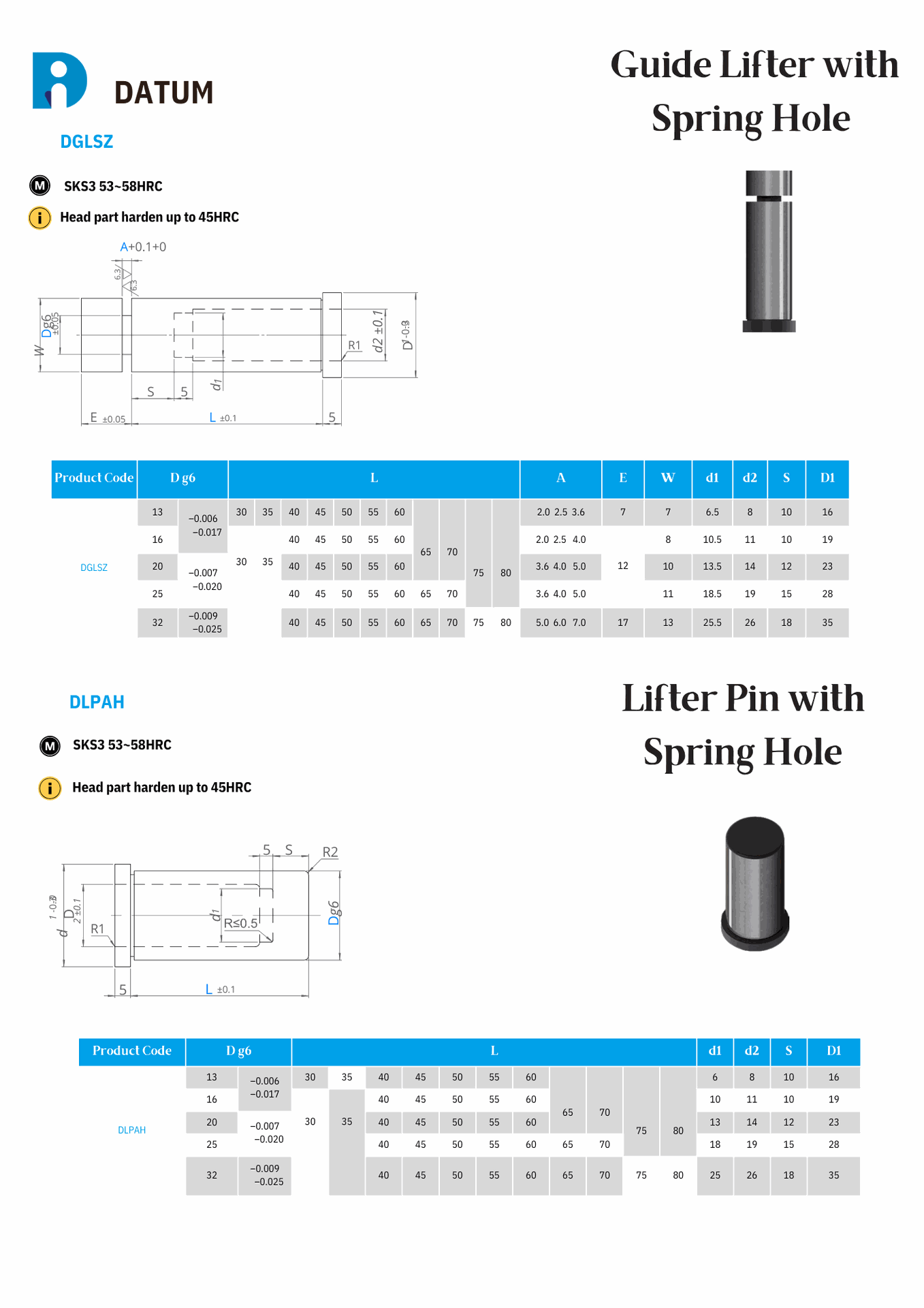 Lifter Pin with Spring Hole|Manufacture,Supplier and Exporter in India